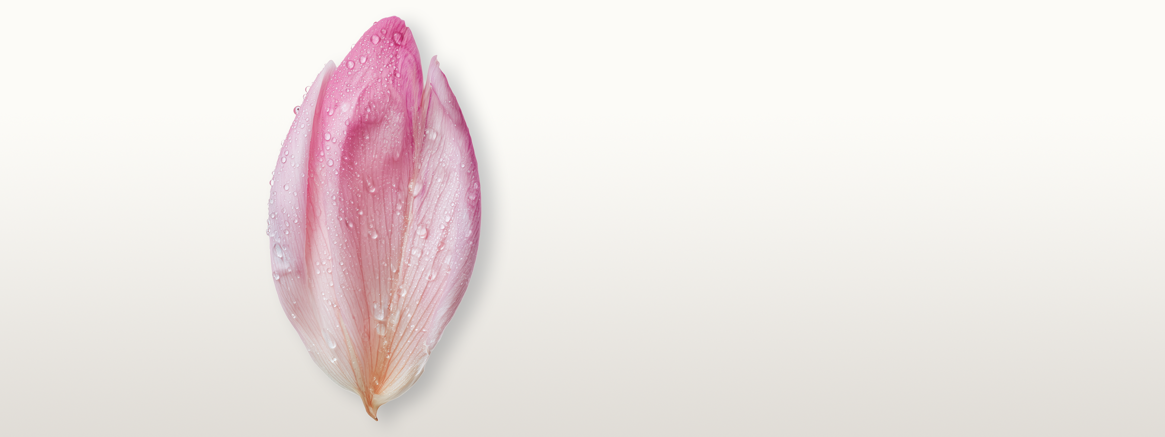 Laundry Fragrance - Scent Booster - Concentrated Essence | ODORA Québec