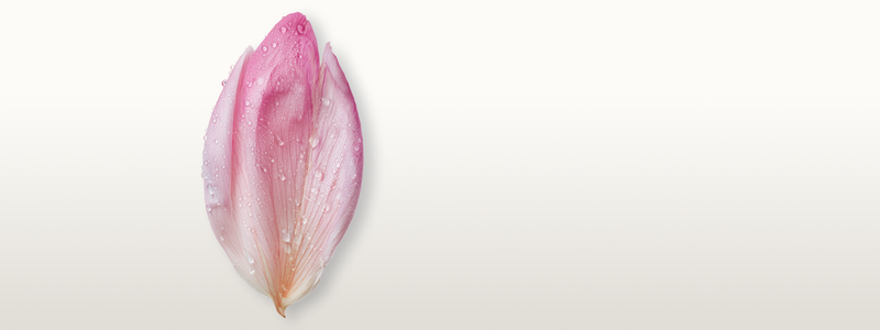Laundry Fragrance - Scent Booster - Concentrated Essence | ODORA Québec